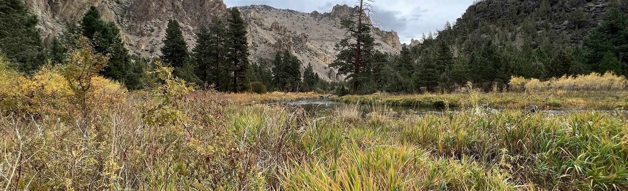 Grey Butte Trail via Burma Road Trail: 106 Reviews, Map - Oregon ...