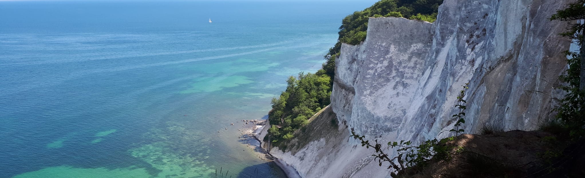 Møns Cliffs and Aborrebjerg: 79 Reviews, Map - Zealand, Denmark | AllTrails