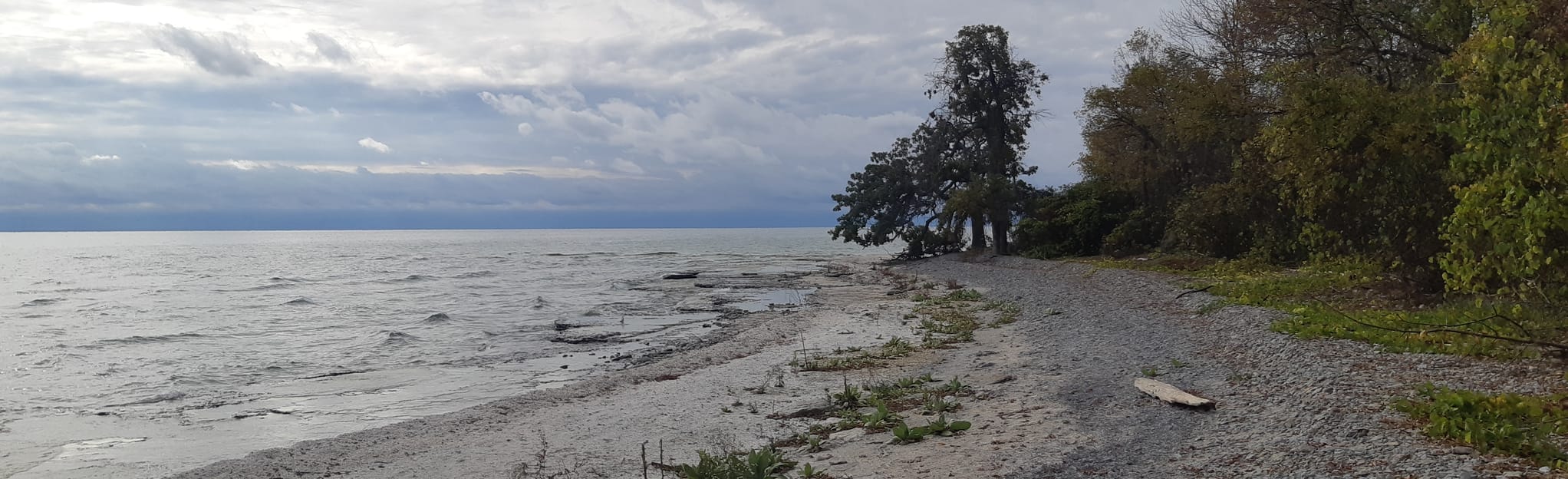 Long Point Harbour and Shore, Ontario, Canada - 13 Reviews, Map | AllTrails