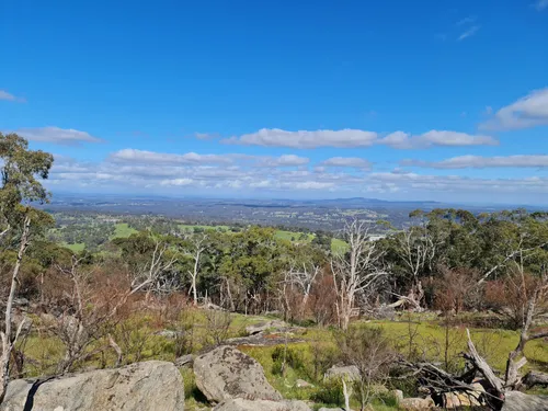 10 Best Forest Trails in Mount Alexander Regional Park | AllTrails