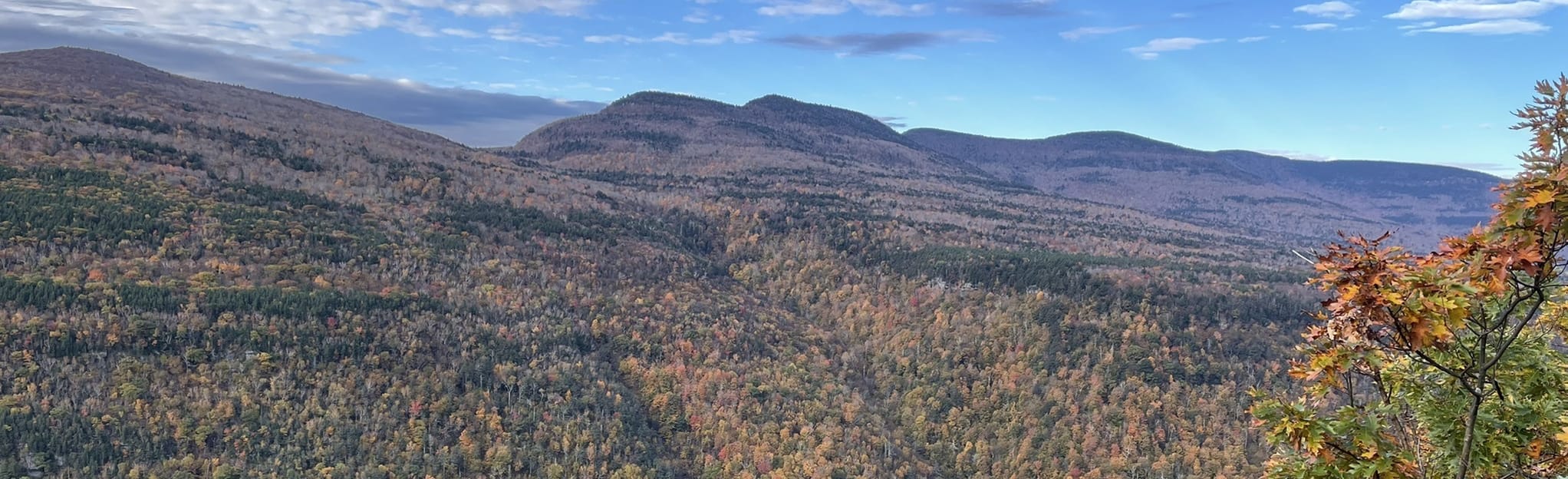 Huckleberry Point Trail, New York - 1,639 Reviews, Map | AllTrails