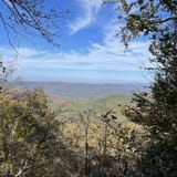 Unaka Mountain, Tennessee - 60 Reviews, Map | AllTrails