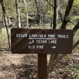 Cedar Lake Trail, Oklahoma - 129 Reviews, Map | AllTrails