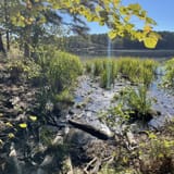 Cedar Lake Trail, Oklahoma - 126 Reviews, Map | AllTrails