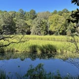 Cedar Lake Trail, Oklahoma - 129 Reviews, Map | AllTrails
