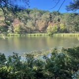 Cedar Lake Trail, Oklahoma - 129 Reviews, Map | AllTrails