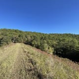 Cedar Lake Trail, Oklahoma - 129 Reviews, Map | AllTrails