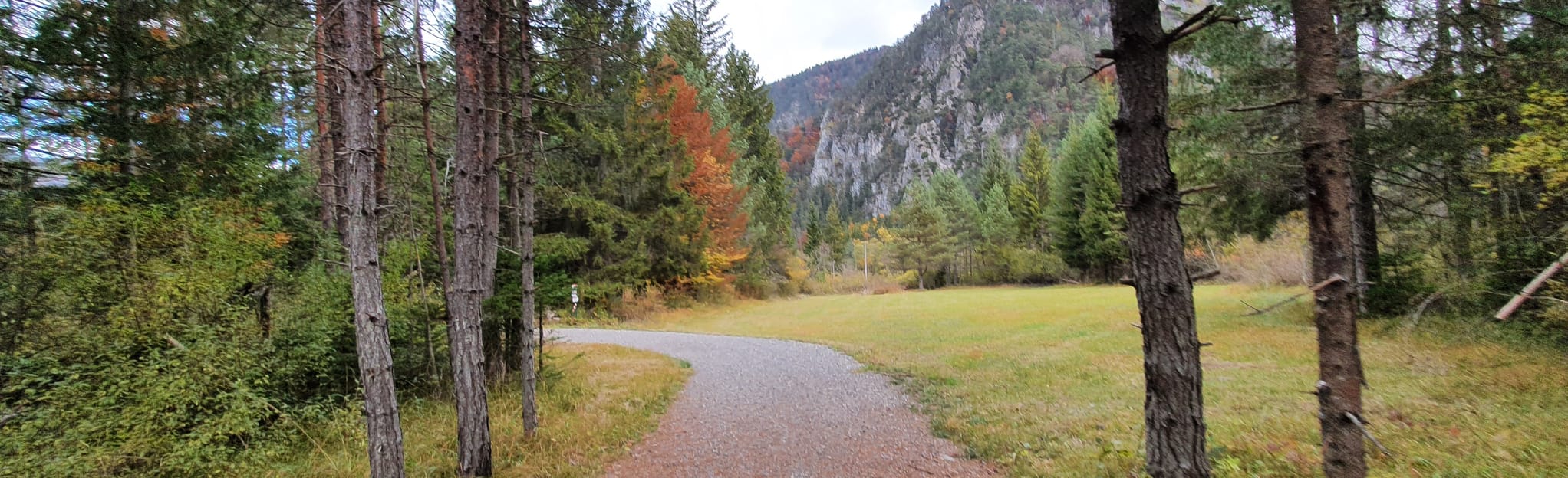 Tarvisio - Rio freddo - Valbruna, 68 Fotos - Friuli-Venezia Giulia ...