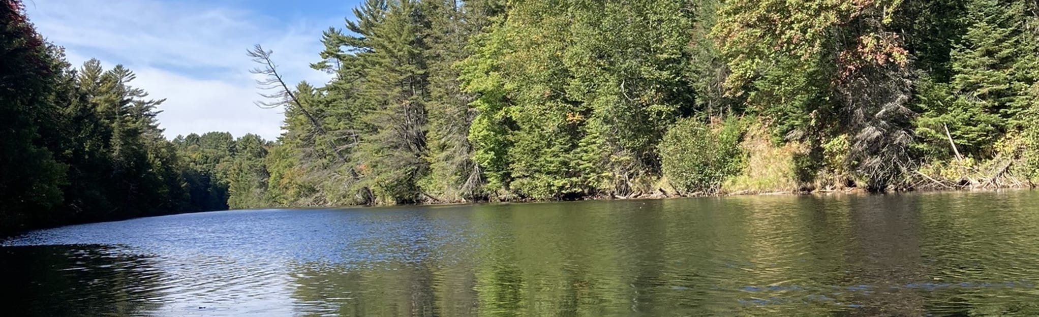 Bracebridge Outside Loop - Ontario, Canada | AllTrails