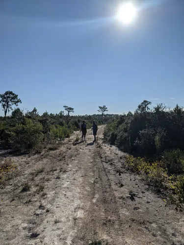 Best Hikes and Trails in Beker - Wingate Creek State Park | AllTrails