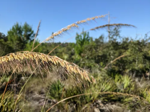 Best Hikes and Trails in Beker - Wingate Creek State Park | AllTrails