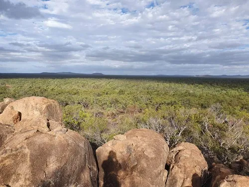 Best Hikes and Trails in Undara Volcanic National Park | AllTrails