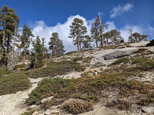 Best 10 Hikes and Trails in Sierra National Forest | AllTrails