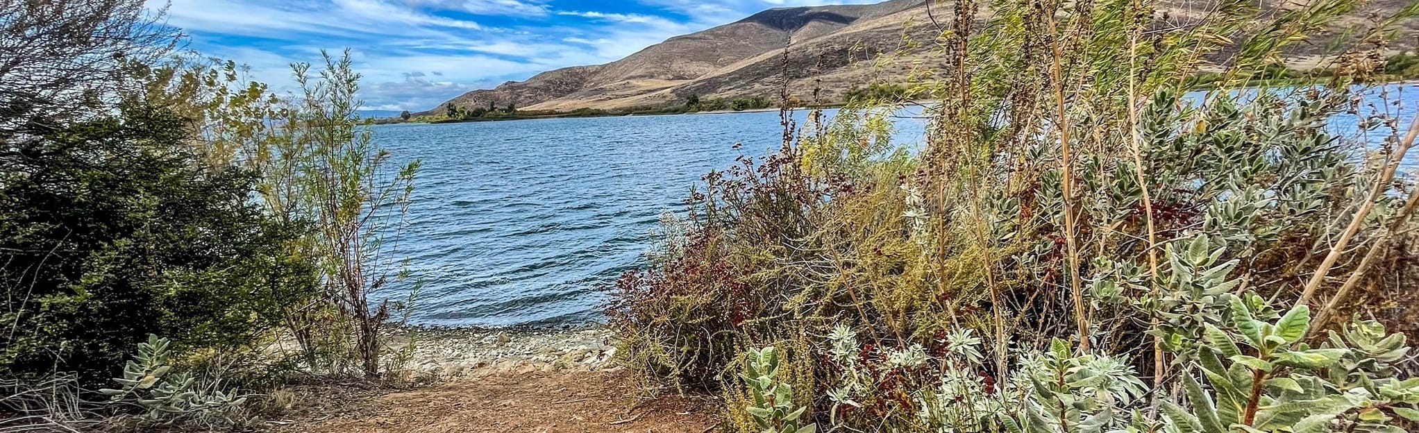 Lake Skinner Loop Trail: 270 Reviews, Map - California | AllTrails