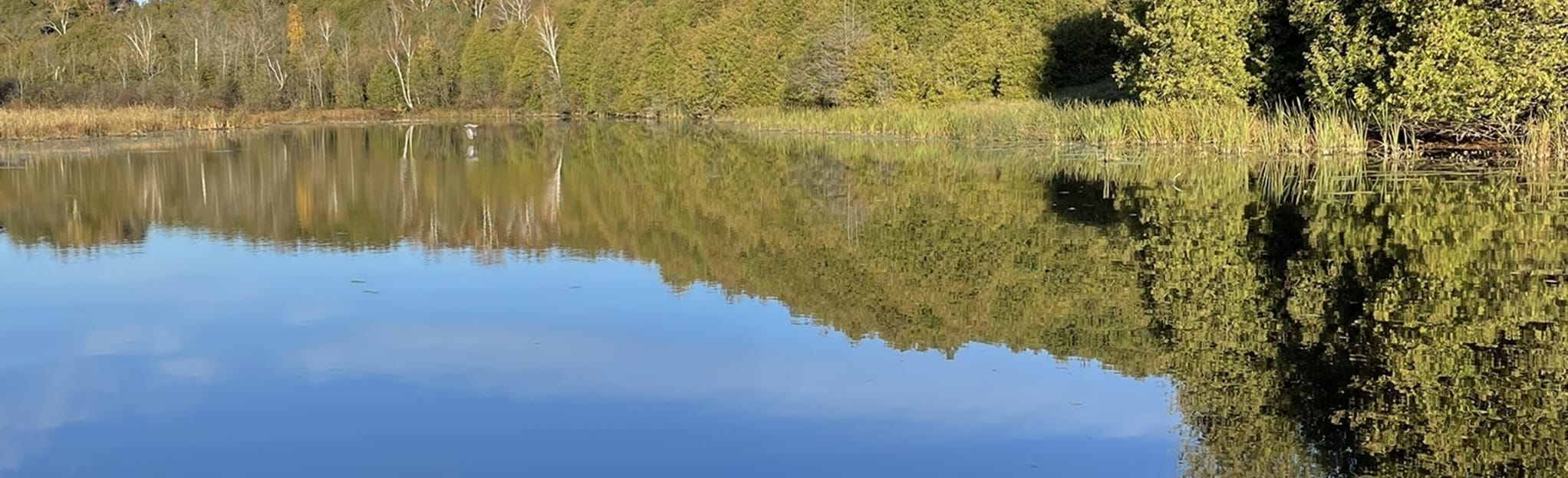 Nonquon River to Lake Scugog Paddle, Ontario, Canada - 13 Reviews, Map ...