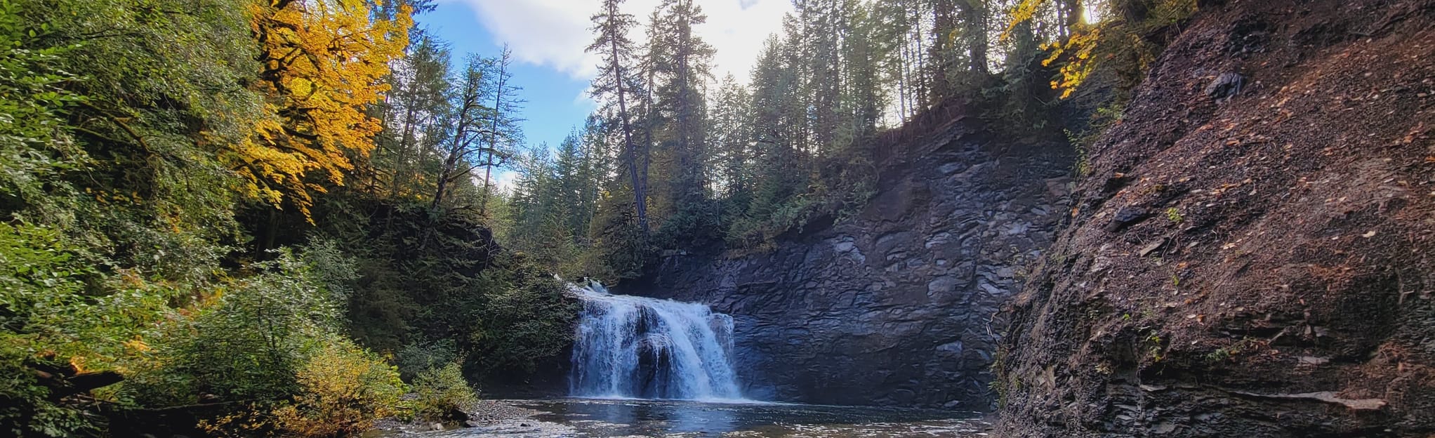 Trent Falls: 192 foto's - British Columbia, Canada | AllTrails