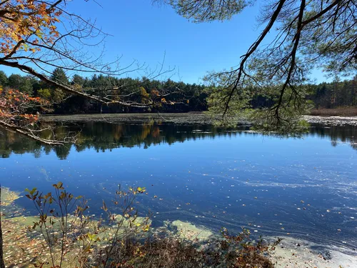 10 Best Trails and Hikes in Groton | AllTrails