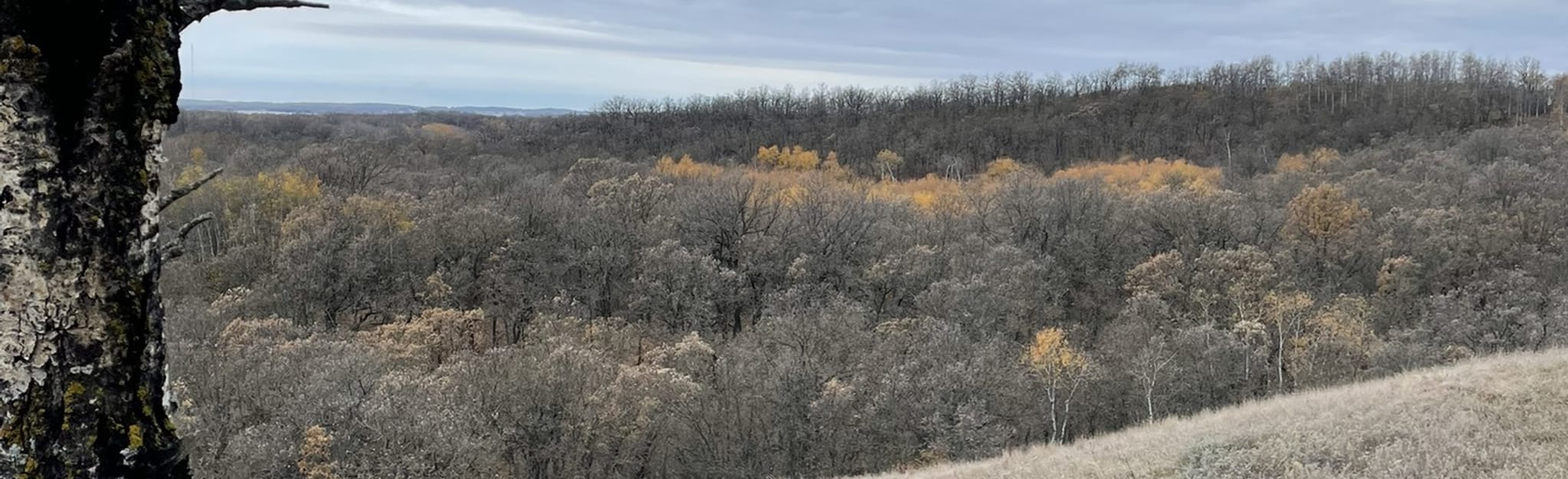 South Brandon Hills Loop: 15 Reviews, Map - Manitoba, Canada | AllTrails