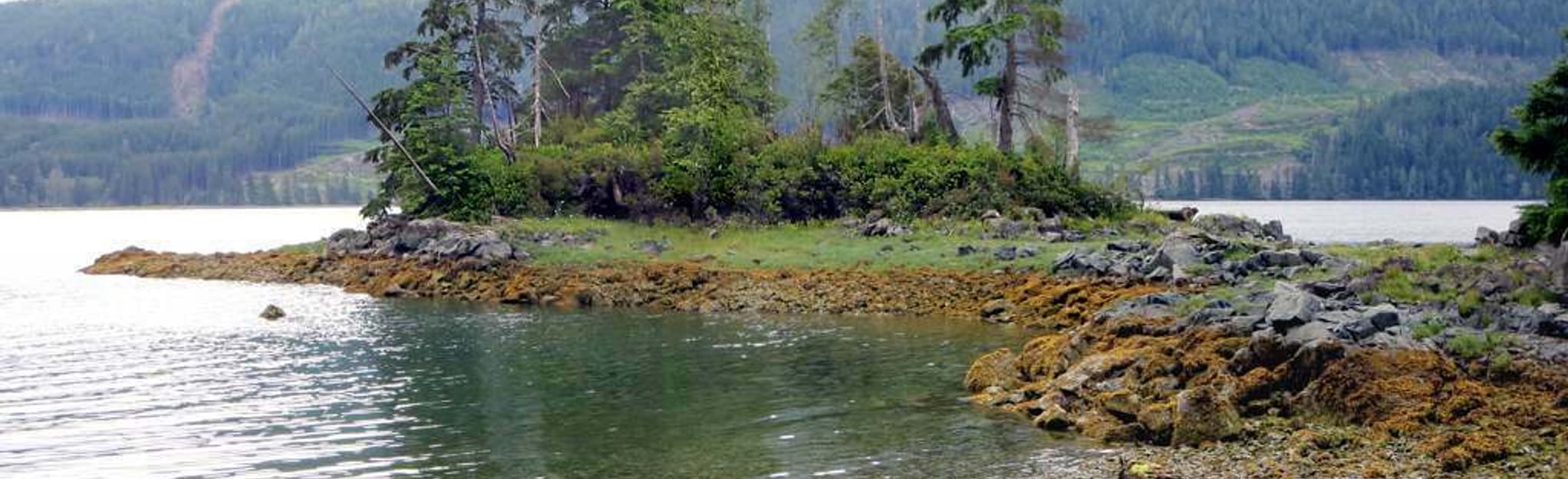 Side Bay OHV Loop: 1 foto's - British Columbia, Canada | AllTrails