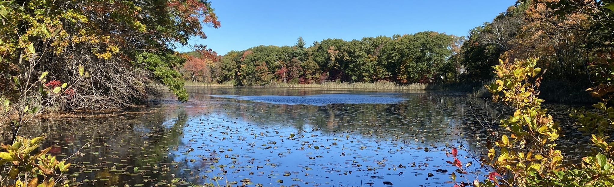 Blue Hills Skyline Loop | Mapa, Roteiro - Massachusetts | AllTrails