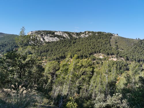 2023 Best Trails, Walks, and Paths in Auriol | AllTrails