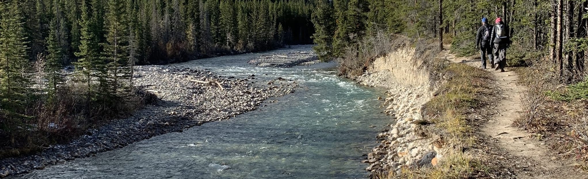 Coral Creek Canyon Trail to Cline River Trail Loop: 195 Reviews, Map ...