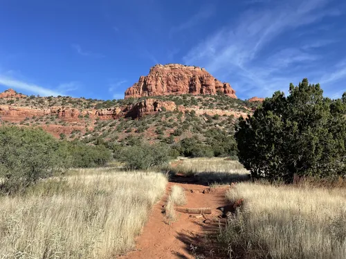Best 10 Hikes and Trails in Coconino National Forest | AllTrails