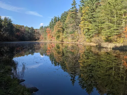 Best Hikes and Trails in Haystack Mountain State Park | AllTrails
