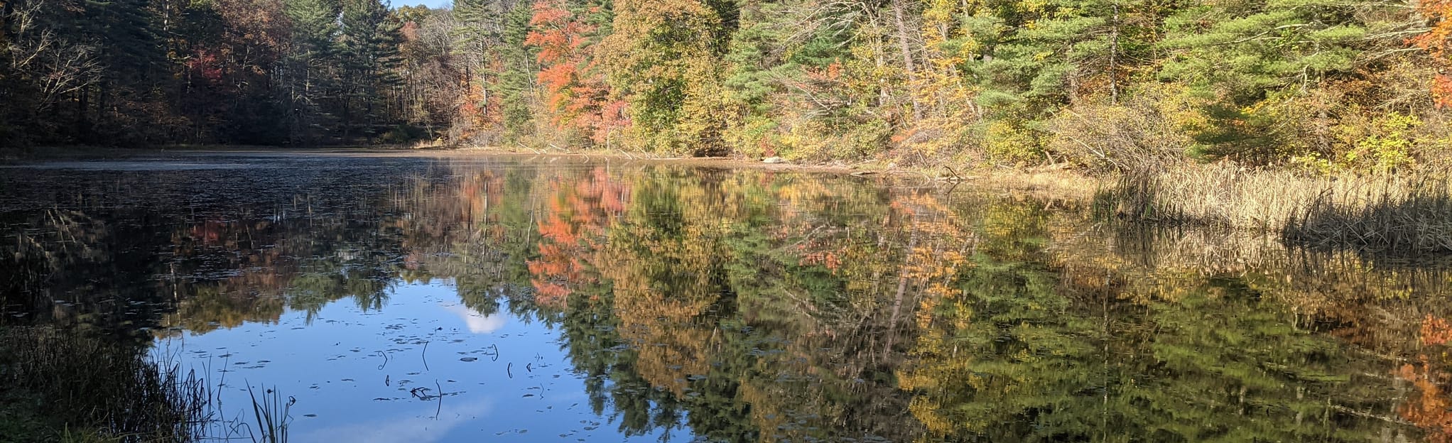 Haystack Mountain, Connecticut - 357 Reviews, Map | AllTrails