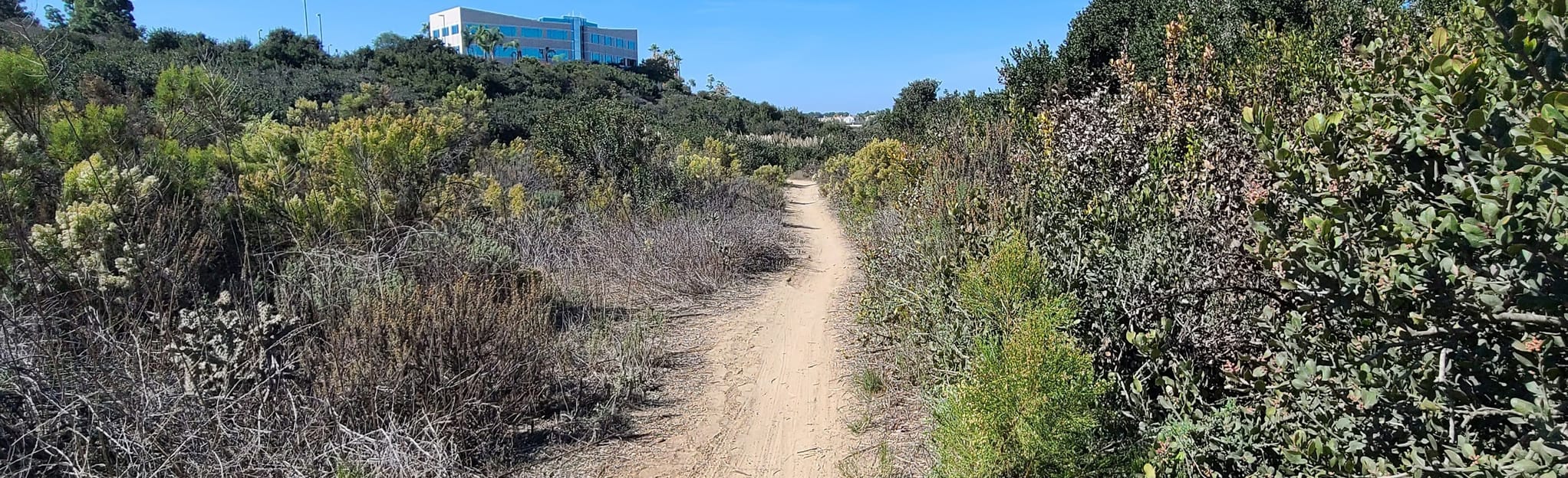 Snake Trail - California | AllTrails