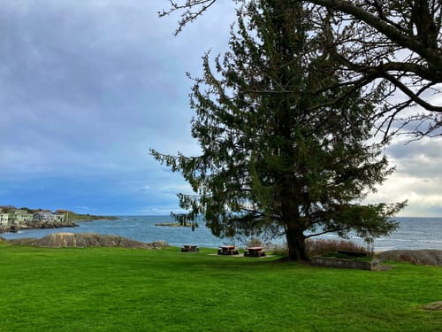 Best Hikes and Trails in Saxe Point Park | AllTrails
