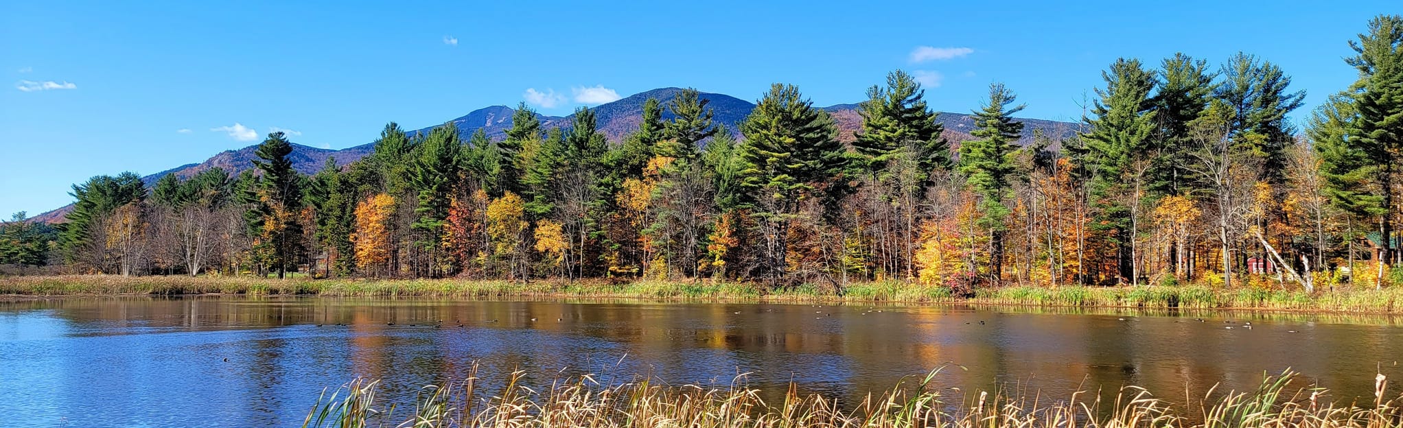 Ausable River Paddle, New York - 21 Reviews, Map | AllTrails