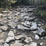 Hawk Pride Mountain Offroad, Alabama - 13 Reviews, Map | AllTrails