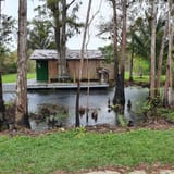 Loop Road Scenic Drive (County Road 94), Florida - 145 Reviews, Map ...