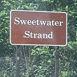 Loop Road Scenic Drive (County Road 94), Florida - 145 Reviews, Map ...