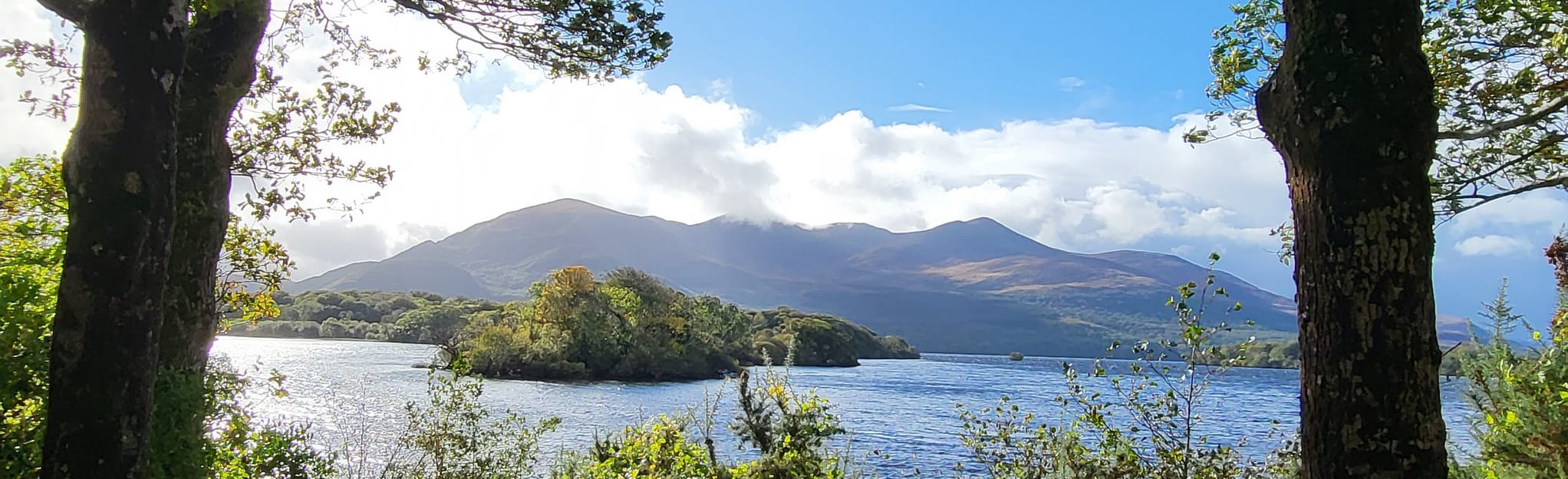 River Walk and Ross Castle Loop: 121 Reviews, Map - County Kerry ...