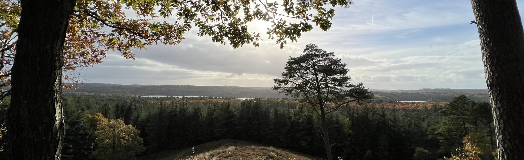 Nordskoven og Gudenåen: 13 Reviews, Map - Central Denmark, Denmark ...