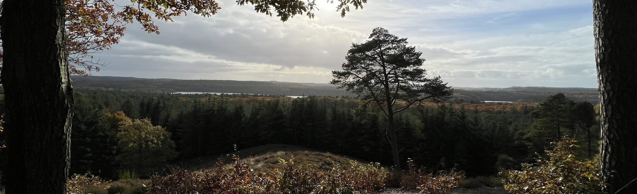 Nordskoven - Kordalshuspladsen - Ulvehoved: 96 Fotos - Region ...