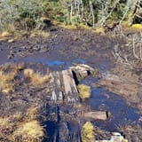 Mahoosuc Traverse, Maine - 35 Reviews, Map | AllTrails