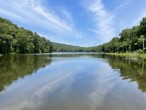 Best 10 Hikes and Trails in Delaware Wild Forest | AllTrails