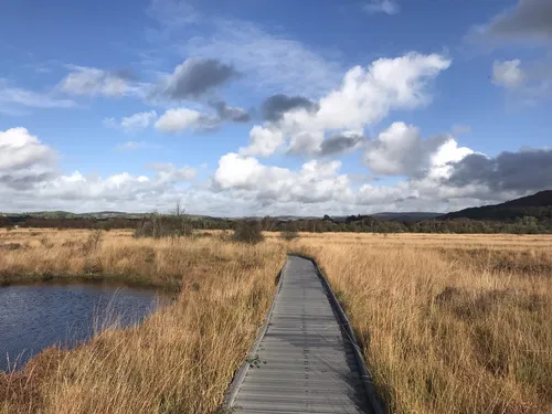 Best Hikes and Trails in Cors Caron National Nature Reserve | AllTrails