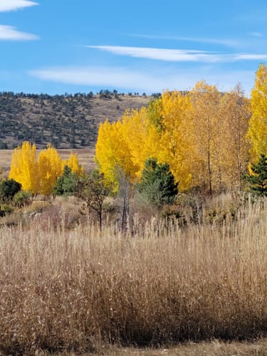 Best Hikes and Trails in Spring Canyon Park | AllTrails