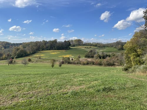 Best Hikes and Trails in Okehocking Preserve | AllTrails