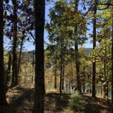 Lake Ouachita Vista Trail (LOViT), Arkansas - 85 Reviews, Map | AllTrails