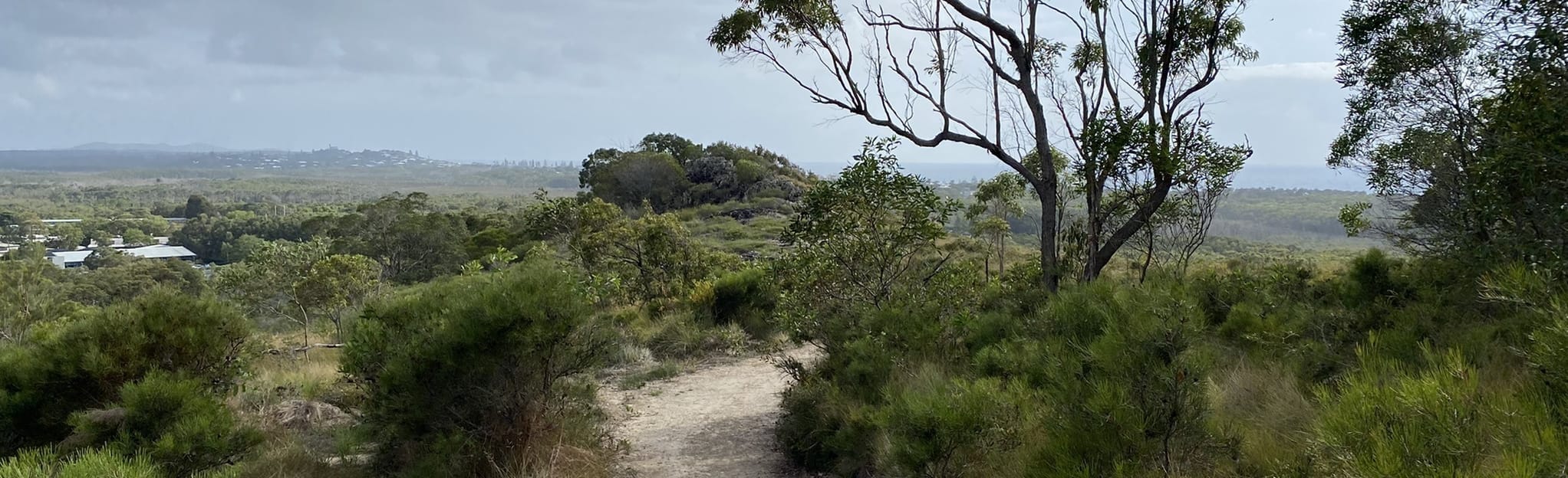 Emu Mountain Summit and Hakea Trail, Queensland, Australia - 35 Reviews ...