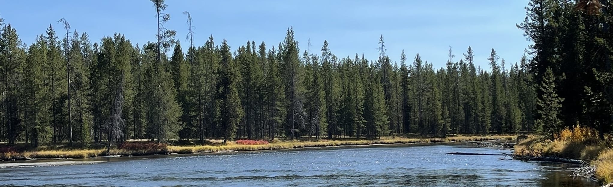 Bechler River Cutoff Trail, Idaho - 9 Reviews, Map | AllTrails