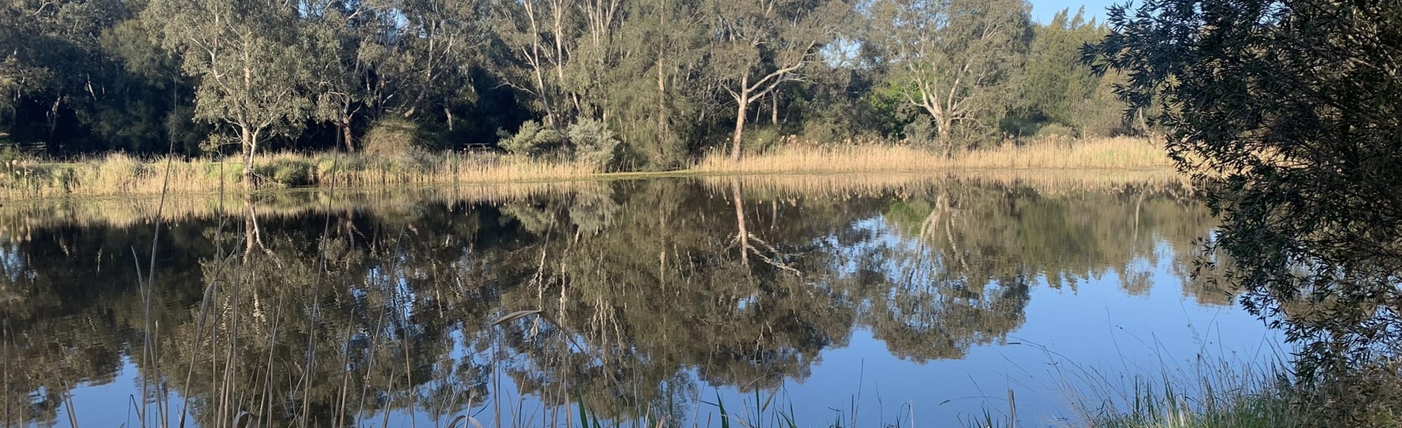 Barwon River Trail South | Map, Guide - Victoria, Australia | AllTrails