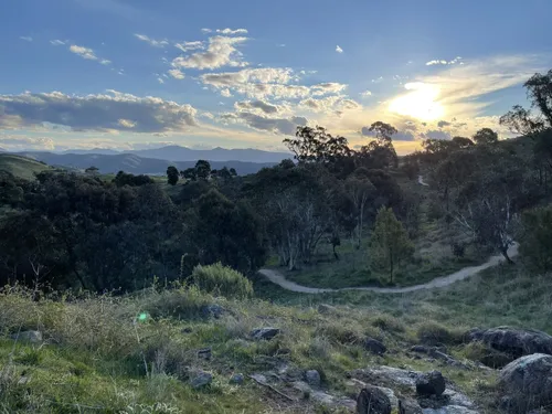 Best Short Trails in Cooleman Ridge Nature Reserve | AllTrails