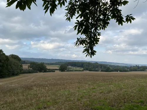 10 Best Trails, Walks, and Paths in Oxted | AllTrails