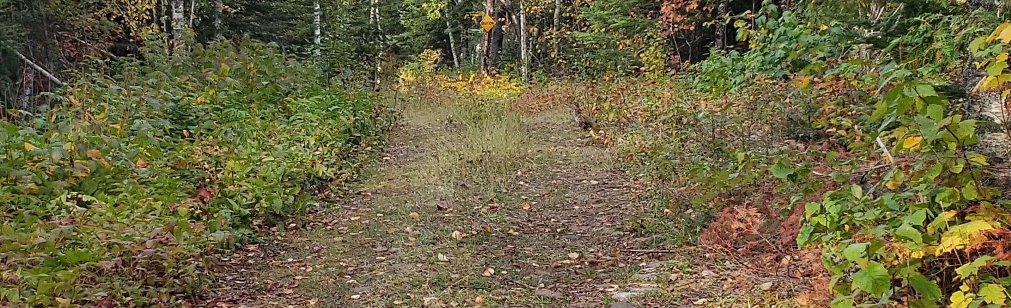 Two Island Lake to Devil's Track Lake, Minnesota - 2 Reviews, Map ...